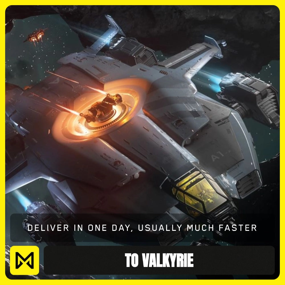 Upgrade to Valkyrie - Space Vendor