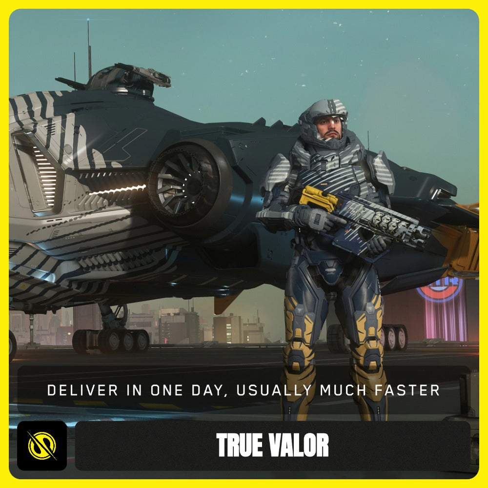 True Valor - Patch Bundle - Space Vendor